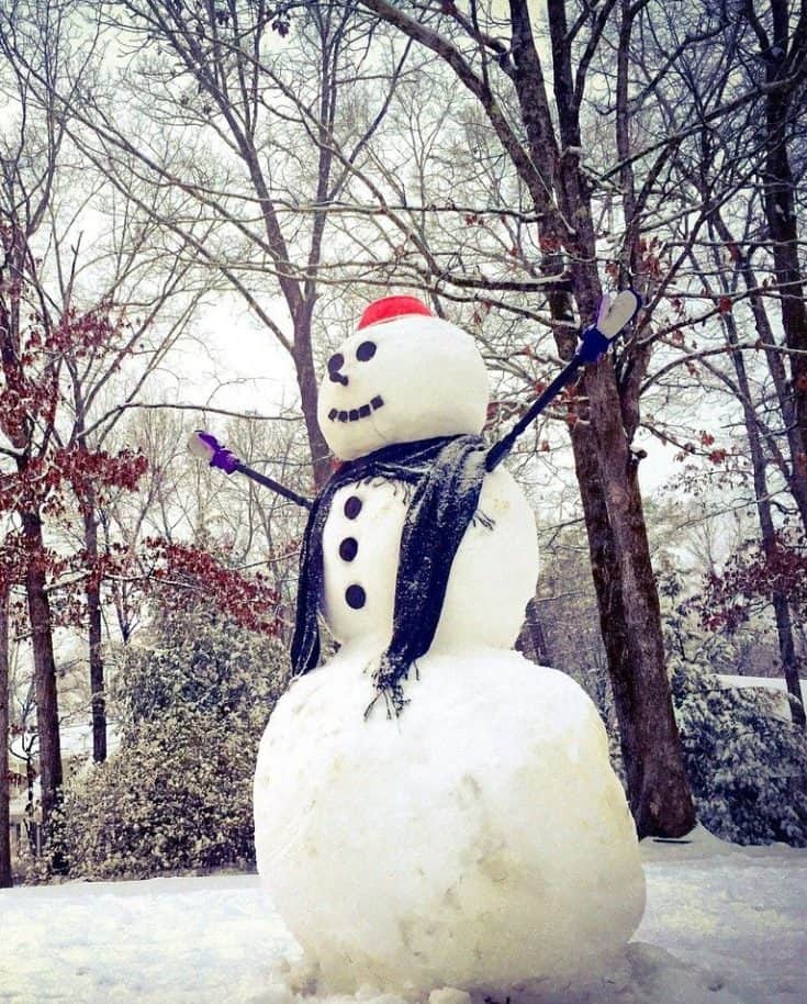 The History of the Snowman by Bob Eckstein - In Our Spare Time