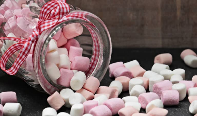 Mini Marshmallow Blaster Bow and Mallow Review