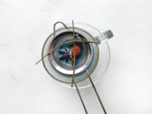 Moon Milk Mocktail Recipe - In Our Spare Time